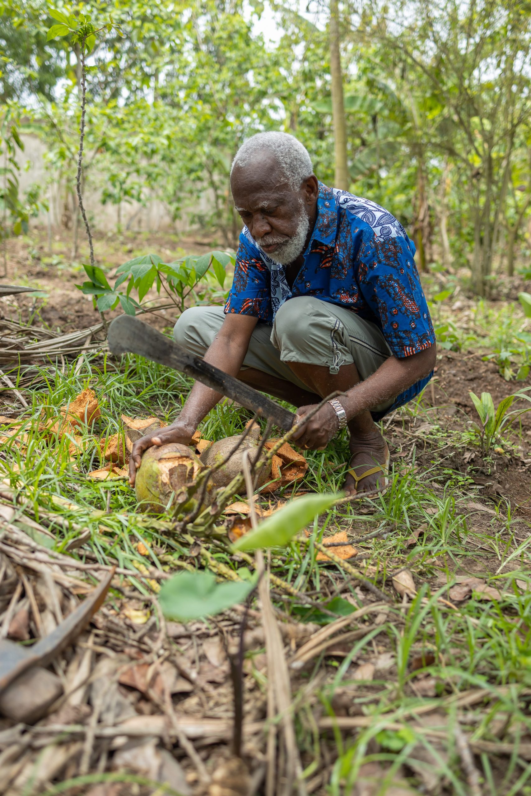 About Us – Prof. Stephen Adei